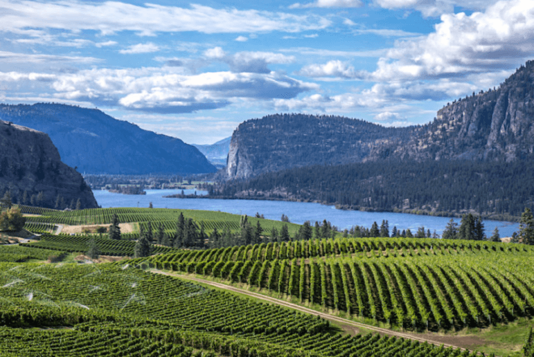 Central Okanagan Projected To Grow By 80,000 Residents Over Next 2 ...