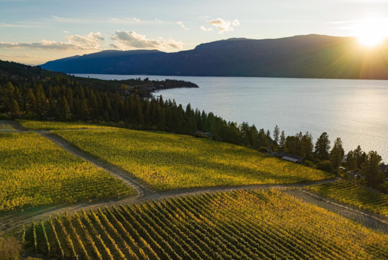 Lake Country Officially Recognized As A Wine Region | Lakestone